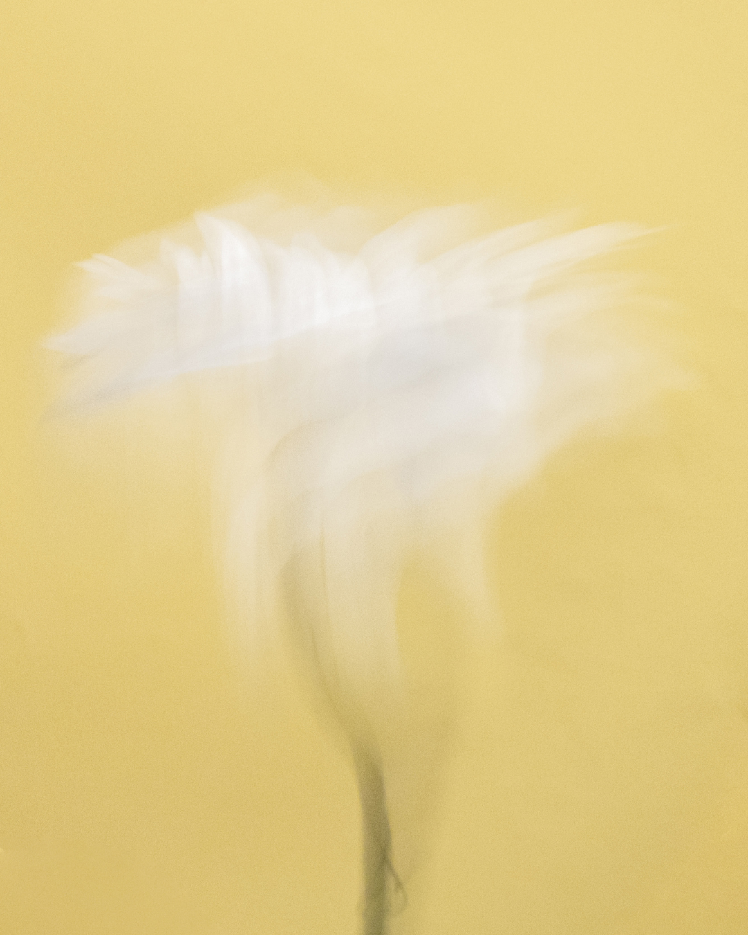 Why Trauma Symptoms Can Resurface or Intensify in Perimenopause (And ...